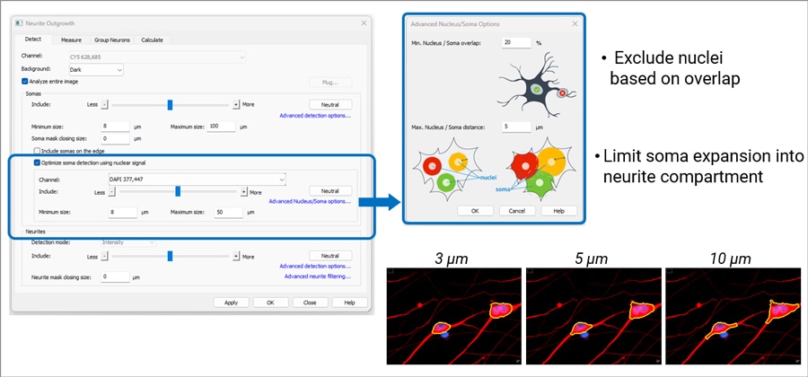 Neurite Outgrowth TekTalk