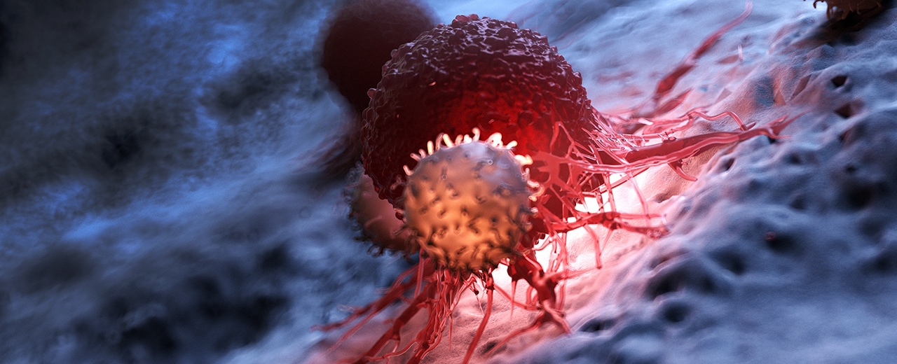 Immune Cell-Mediated Cytotoxicity - TekTalk Newsletter