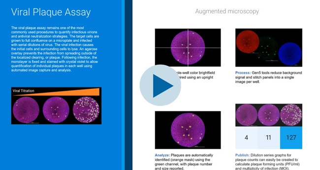 Virology - TekTalk Newsletter