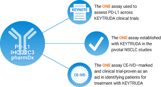 PD-L1 IHC 22C3 pharmDx Overview | Agilent
