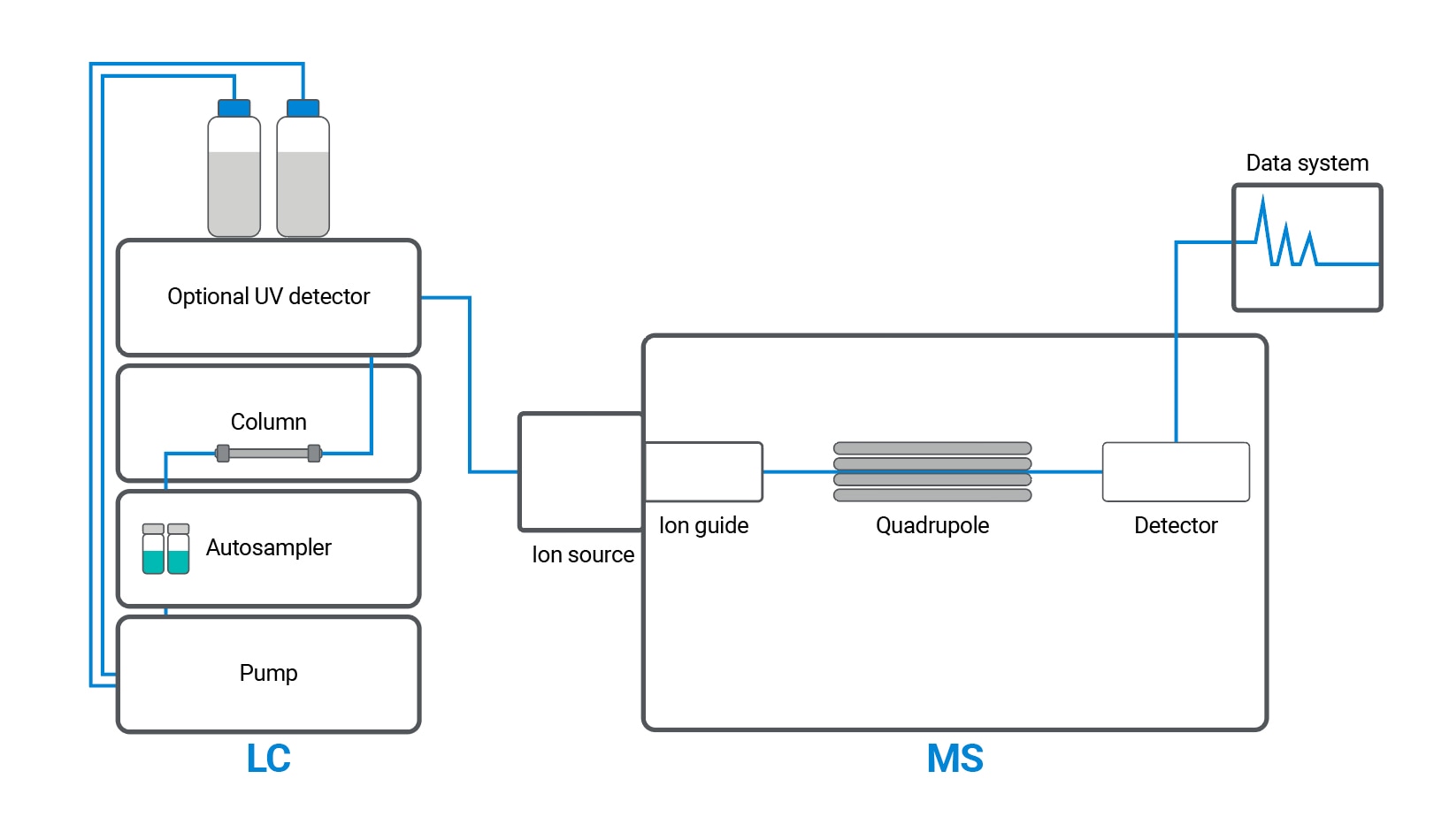 Liquid Chromatography Tandem Mass Spectrometry