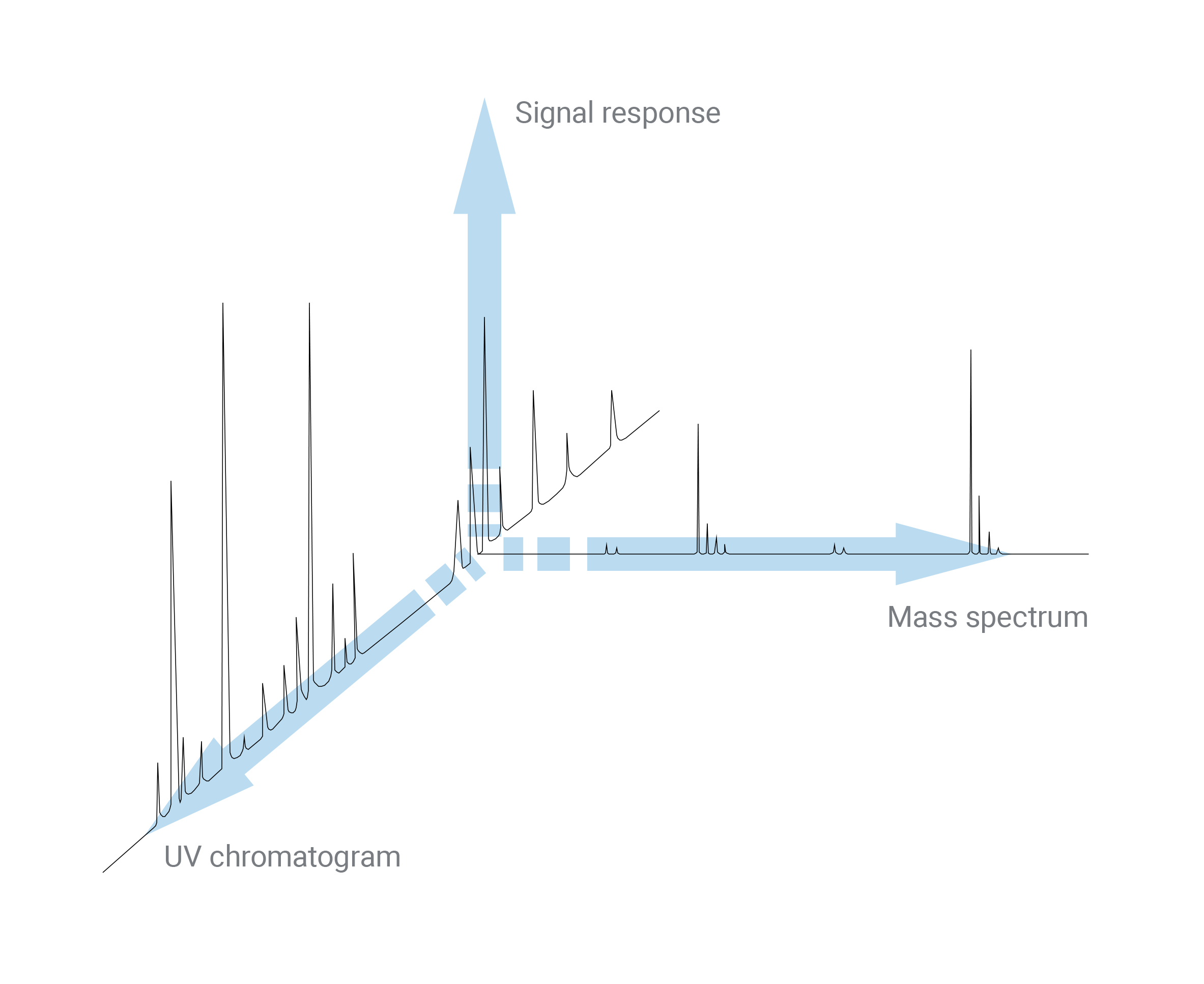 Basics of LC/MS - a primer | Agilent