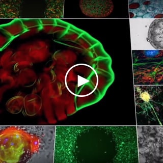 Confocal High Content Imaging Microscope, BioTek Cytation C10 | Agilent