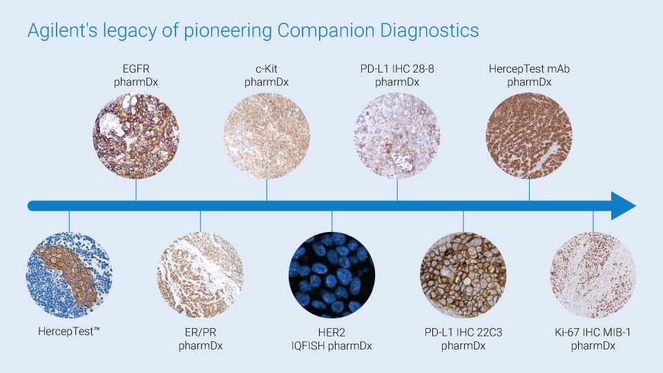 Cdx Quotes Companion Diagnostic (CDx) Services | Agilent