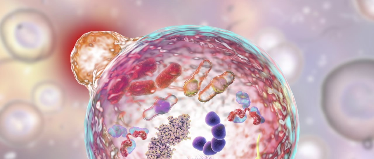 Real-Time, Live Cell Analysis, Agilent Cell Analysis | Agilent