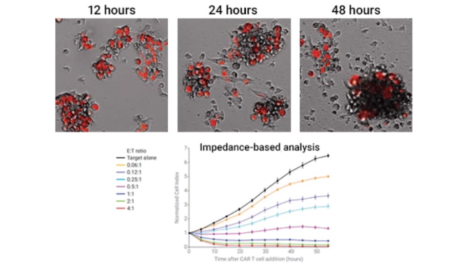 Xcelligence Rtca Esight 2020年7月開催 細胞解析ウェビナー