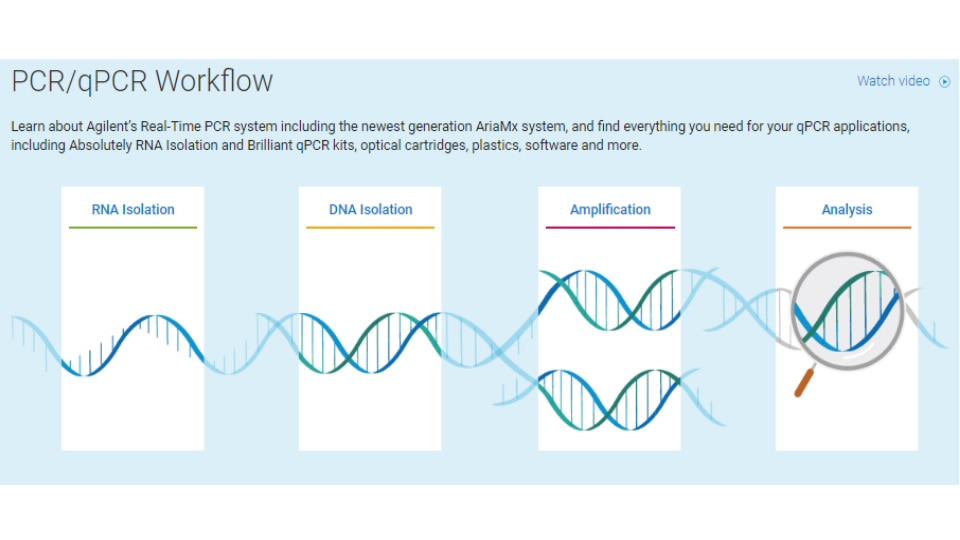 Quantitative Pcr
