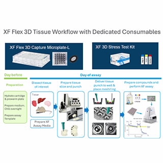 24 孔代谢分析仪, Seahorse XF Flex 分析仪 | 安捷伦