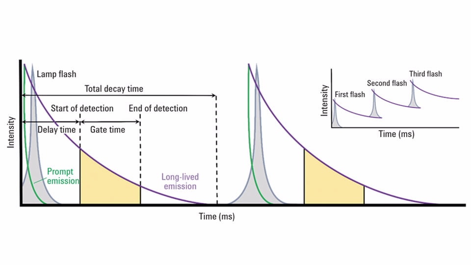 Time Resolved Photoluminescence Bulk And Surface Recombination