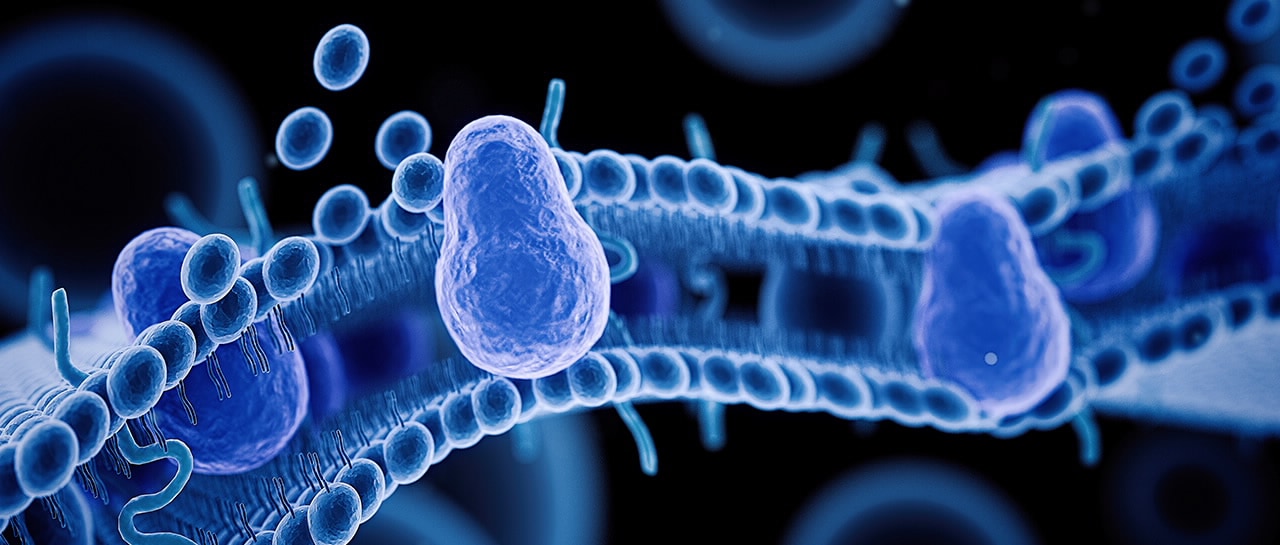 Barrier Cell Membranes