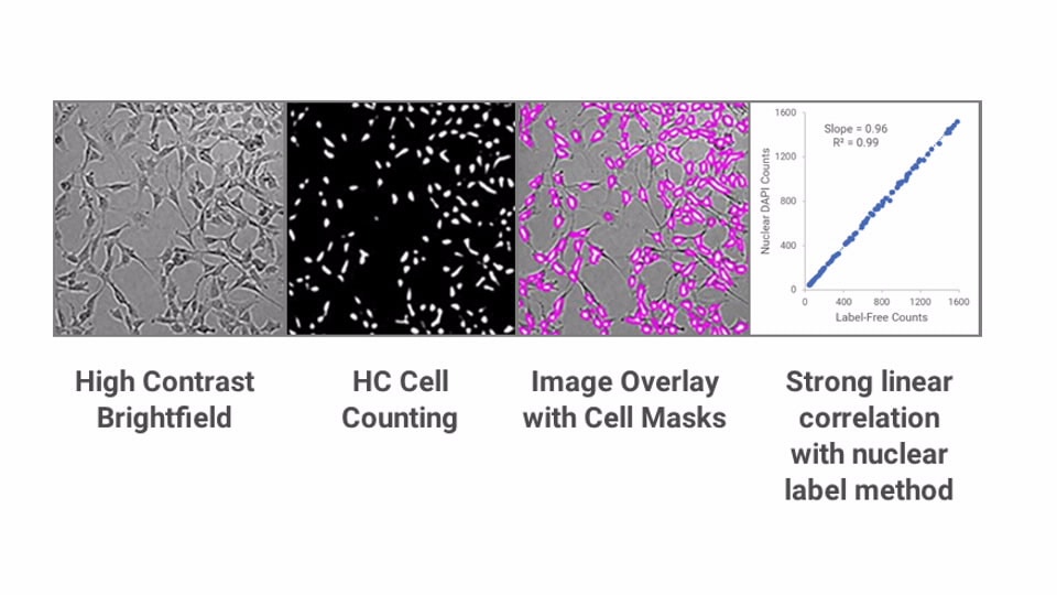 C#中实现Blob分析技术的详细指南-CSDN博客