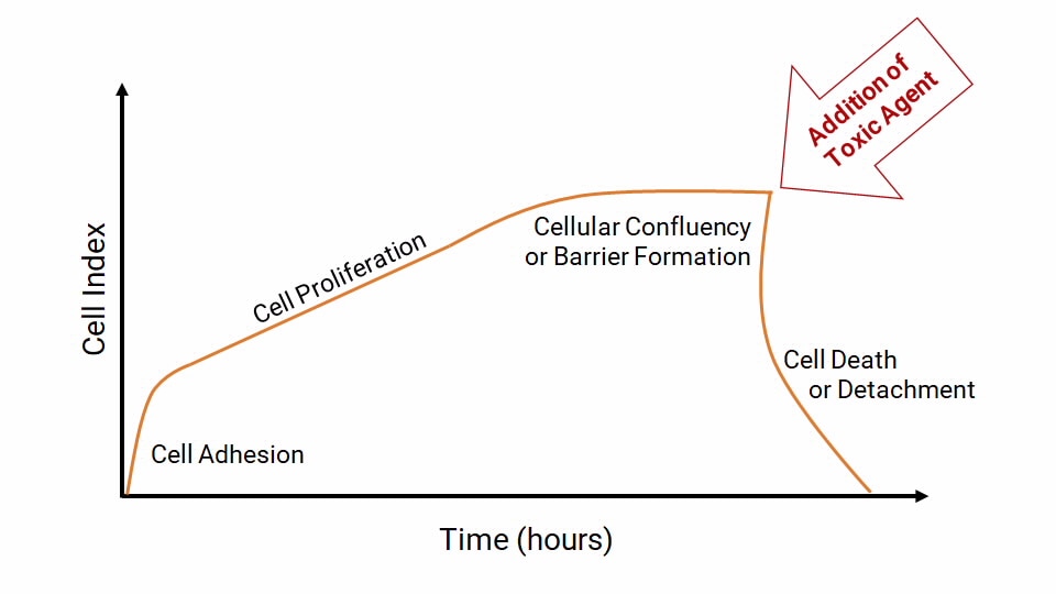 Impedance Measurement Principle In Realtime Monitoring Using