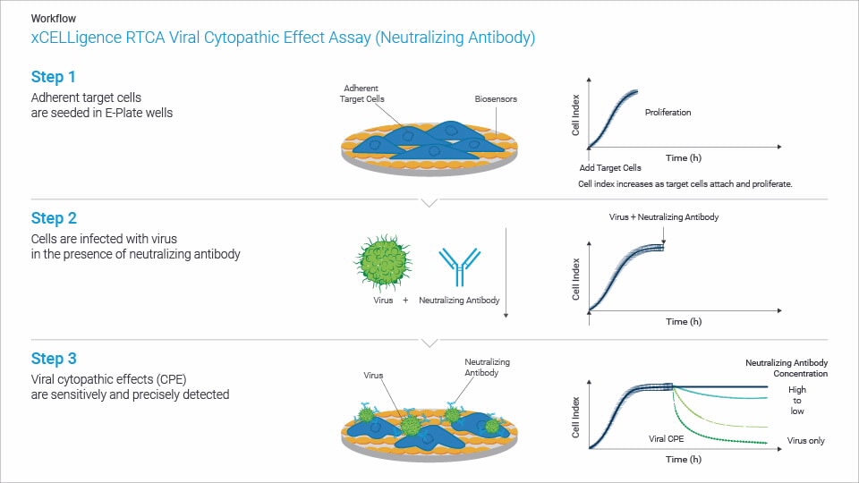 Xcelligence Agilent