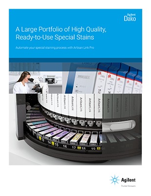 artisan special stain kits